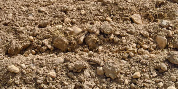 Disc Harrow - Your Solution for Effective Soil Preparation | Cropilots