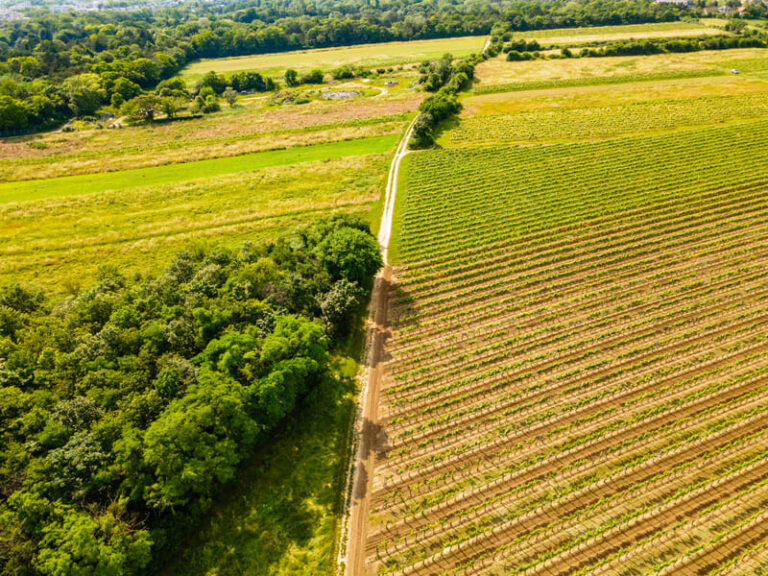 5 Farm Tractors You Cannot Miss in Southern Chile - Cropilots