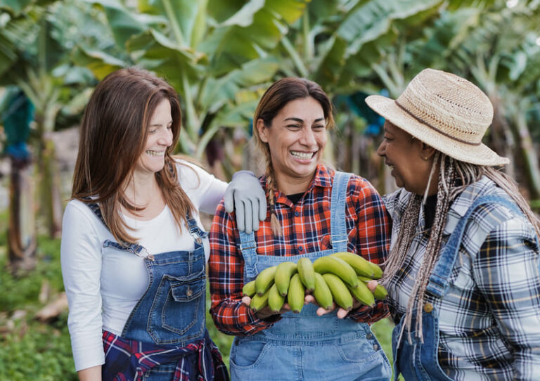 Mastering the Terrain: 5 Essential Tractors for Farming in Colombia's ...
