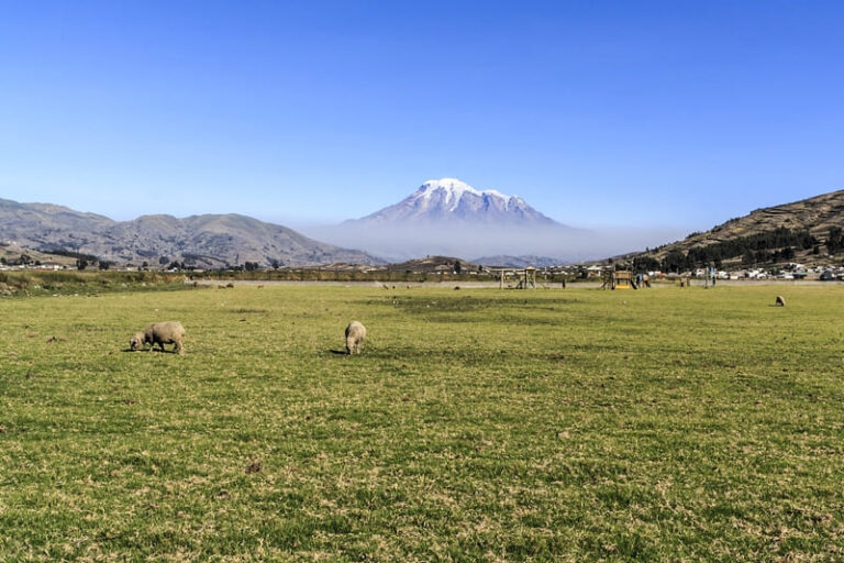 Elevate Your Farming: 5 Tractors Perfect for Ecuador's Highland ...